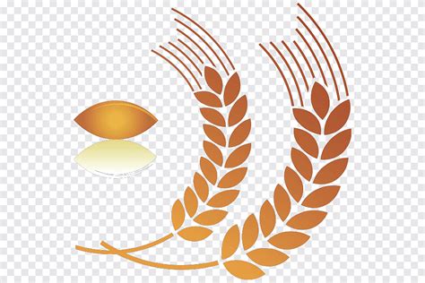 Rice Wheat Food Grain Rice Food Leaf Png PNGEgg