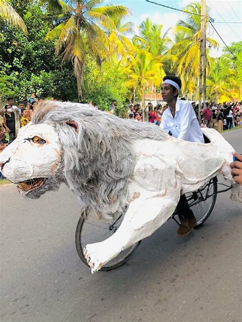 ඒකනම් වෙනම ලෝකයක් වගේ ලංකාවේ වෙනස් විදිහට කරපු හීනටියන සත්තු පෙරහැර