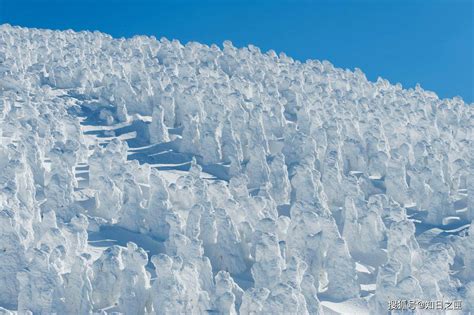 我已经订机票了日本的雪景居然可以这么美 搜狐大视野 搜狐新闻