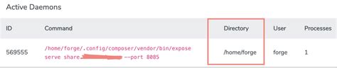 users · issue 18 · beyondcode expose · github