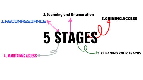 5 Stages