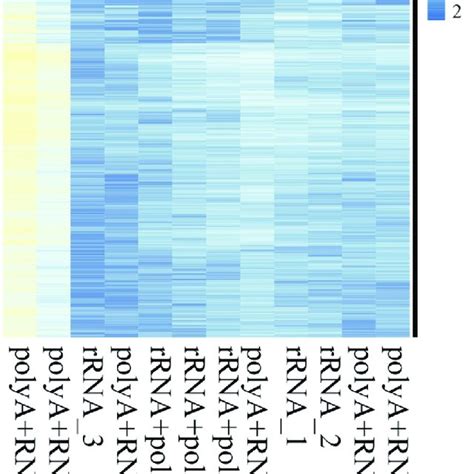 On Diverse Circrna Enrichment Methods The Candidates Circrna Of