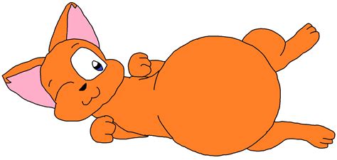 Big Belly Cat Dawko By Dawkocatorange On Deviantart