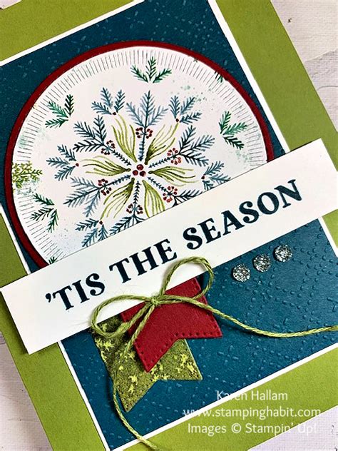 Elegant Pine Snowflakes For Csf 895