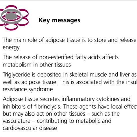 Abbreviations Ang Ii Angiotensin Ii At 1 Receptor Angiotensin Ii