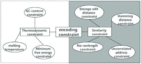 Classification And Overlap Of Coding Constraints Download Scientific Diagram