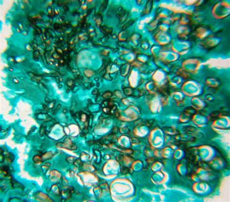 Conference 09 2008 Case 3 20081112