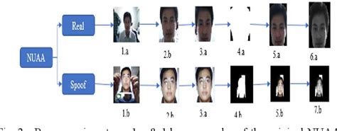 figure 1 from face anti spoofing based on convolutional neural networks semantic scholar