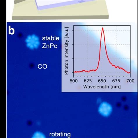 A Schematics Of The Experimental Set Up In Which The STM And NcAFM