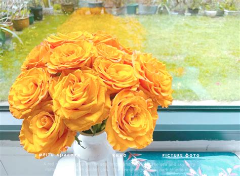 埃里克森理论：防自卑秘诀！