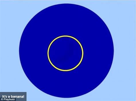 El Desafío De Encontrar Los Objetos En Los Círculos De Colores Que