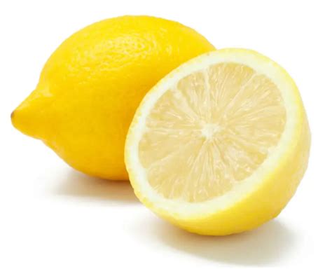 레몬의 영양과 효과 효능 조리법 보존법