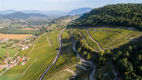 Thomas Senger Sapproprie Le Domaine Eugène Carrel Et Fils