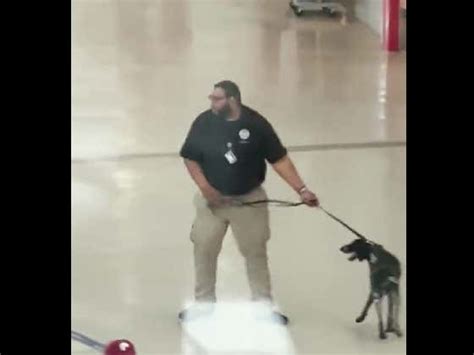 Tsa Agent Caught Abusing K9 On Explosion Detection Team Gets Fired