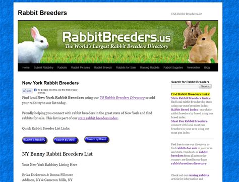 Rabbits For Sale In Buffalo Ny Usa Rabbit Breeders
