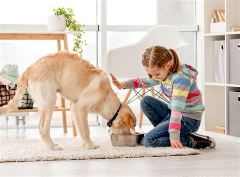 Premium Photo Beautiful Girl Feeding Cute Dog