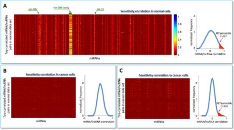 Sensitivity Analysis Heat Map Representing The Sensitivity Correlation