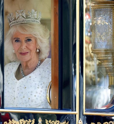 Camilla Parker Bowles Just Wore A ‘stomacher In A New Royal Portrait