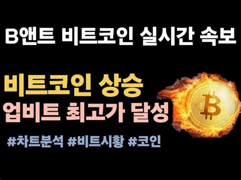 실시간 Live 비트코인 102k 업비트 기준 비트코인 신고점 달성 비트코인실시간 이더리움 리플 솔라나 도지코인