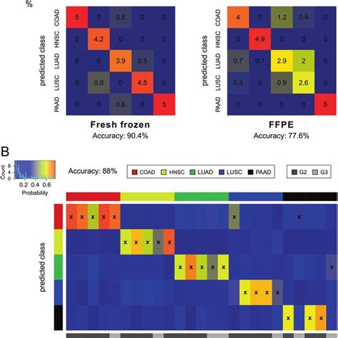 Multiclass Cancer Classification By Machine Learning A Contingency