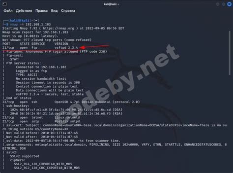 Эксплуатация уязвимости Vsftpd на удаленной машине Metasploitable2 с помощью Kali Linux и Metasploit