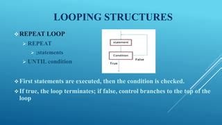 Flow Control Instructions PPTX Programming Languages Computing