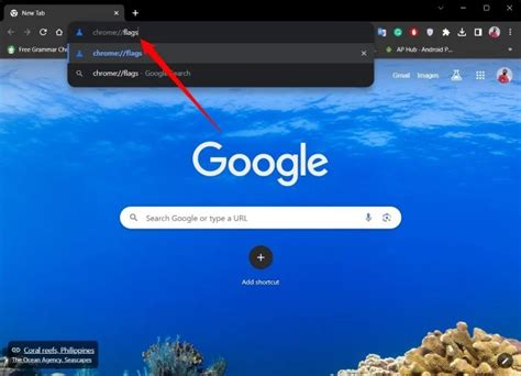 Cómo habilitar la función de desplazamiento suave de Google Chrome en