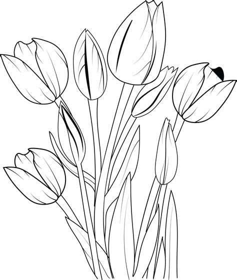 Easy Sketch Art Of Tulip Flowers Bouquet Floral Line Art Hand Drawn