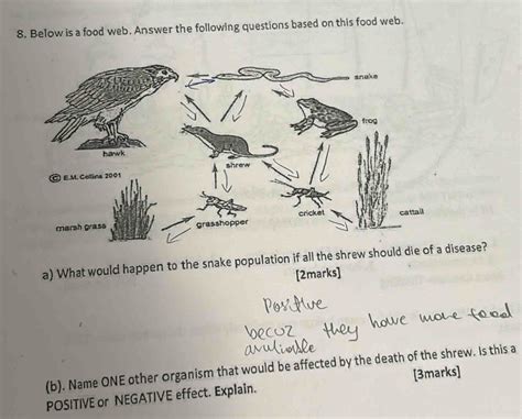 Solved Below Is A Food Web Answer The Following Questions Based On