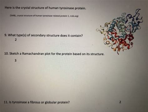 Solved Here Is The Crystal Structure Of Human Tyrosinase