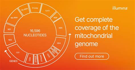 Stephanie Rossnagl On Linkedin Comprehensive Exome Sequencing From A Single Reliable Partner
