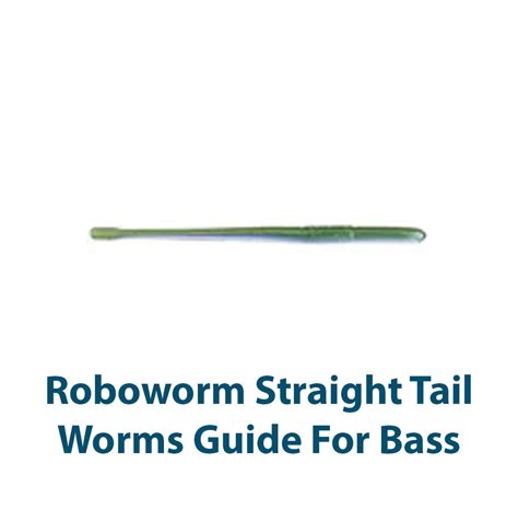 Roboworm Straight Tail Worm Guide For Bass