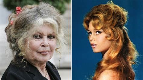 Những Ngày Cuối Cùng Của Brigitte Bardot Trước Khi Qua đời ở Tuổi 91 Khi Những Lời Tưởng Nhớ đổ