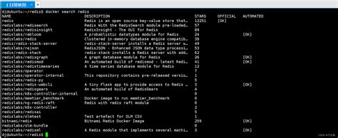 史上最详细docker安装redis （含每一步的图解）实战docker Redis Csdn博客