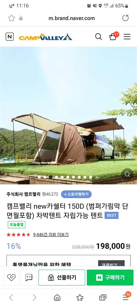 캠프밸리 카쉘터 차박텐트 당근 중고거래