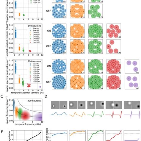 emergence of new rf types with increasing rgc number a distribution