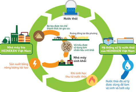Tổng hợp 78 về mô hình mạng vòng coedo vn