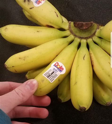 These Are The Smallest Bananas Ive Ever Seen Mildlyinteresting