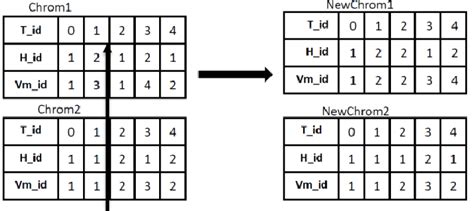 One Point Crossover Operator Download Scientific Diagram
