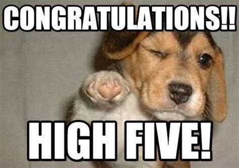 When Laughter Meets Celebration The Art Of Congratulations Funny Meme