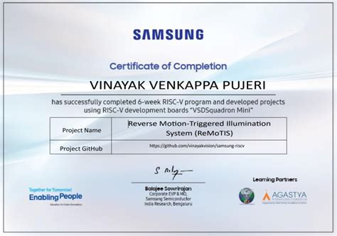 risc v embeddedsystems vlsi processordesign compilerdesign
