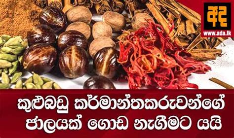 කුළුබඩු කර්මාන්තකරුවන්ගේ ජාලයක් ගොඩ නැගීමට යයි Ada Online