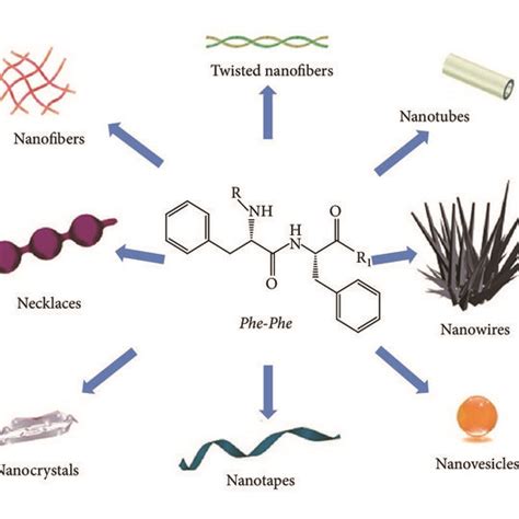 Peptides Self Assembled Into Different Nanostructures Reproduced From