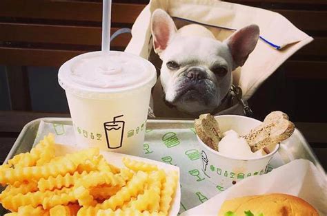 Psst—here Are The New Trends In Secret Menus