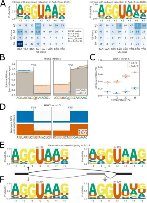 Effect Of Fio1 3 On Retained Introns And Exon Skipping Events A Download Scientific Diagram
