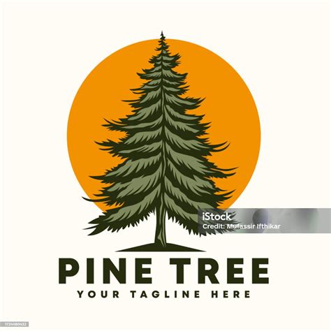 Desain Pohon Pinus Hijau Hutan Pinus Ilustrasi Stok Unduh Gambar