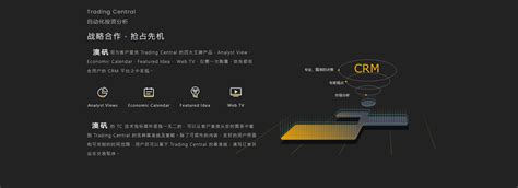 自动化交易分析 Mt5破解版如何搭建mt5mt5搭建流程费用便宜mt4搭建租用mt5主标申请外汇平台搭建替代mt方案