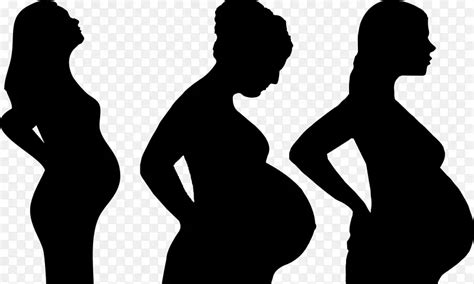 3个孕妇剪影矢量图PNG图片素材下载 图片编号ylkowjvq 免抠素材网