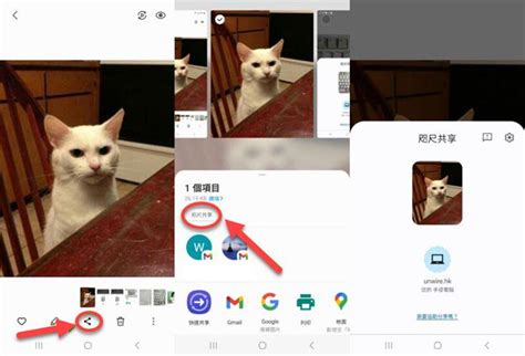 Android Iphone