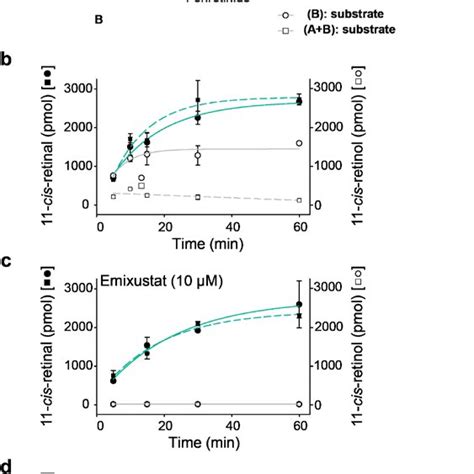 Light Dependent 11 Cis Retinal Generation Is Independent Of The